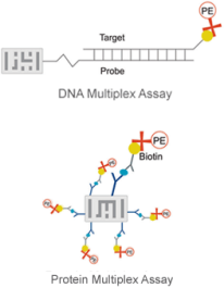 Technology - Applied BioCode