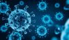 Products & Services | Applied BioCode