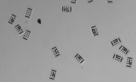 Products & Services | Applied BioCode