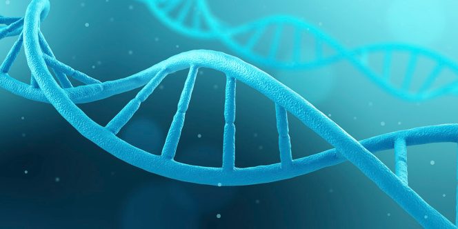 A Guide To Molecular Diagnostics Mdx