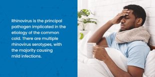 What Pathogen Causes the Common Cold?