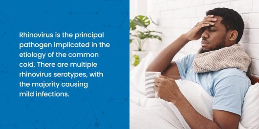 What Pathogen Causes the Common Cold?