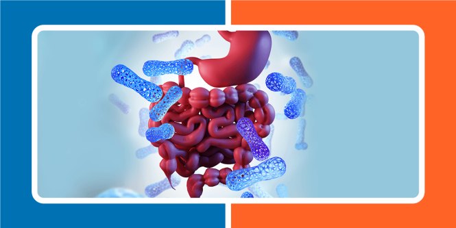 13 Common Causes of Gastrointestinal Infections - Applied BioCode